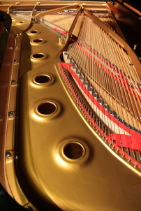 NAFA Concert Series: Winning Keys