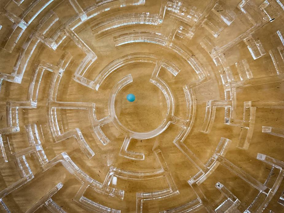 SDW2019: Maze Wall by OneMaker Group